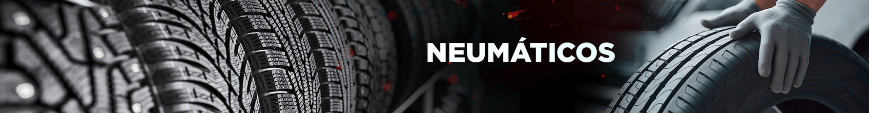 Neumáticos – Servitek